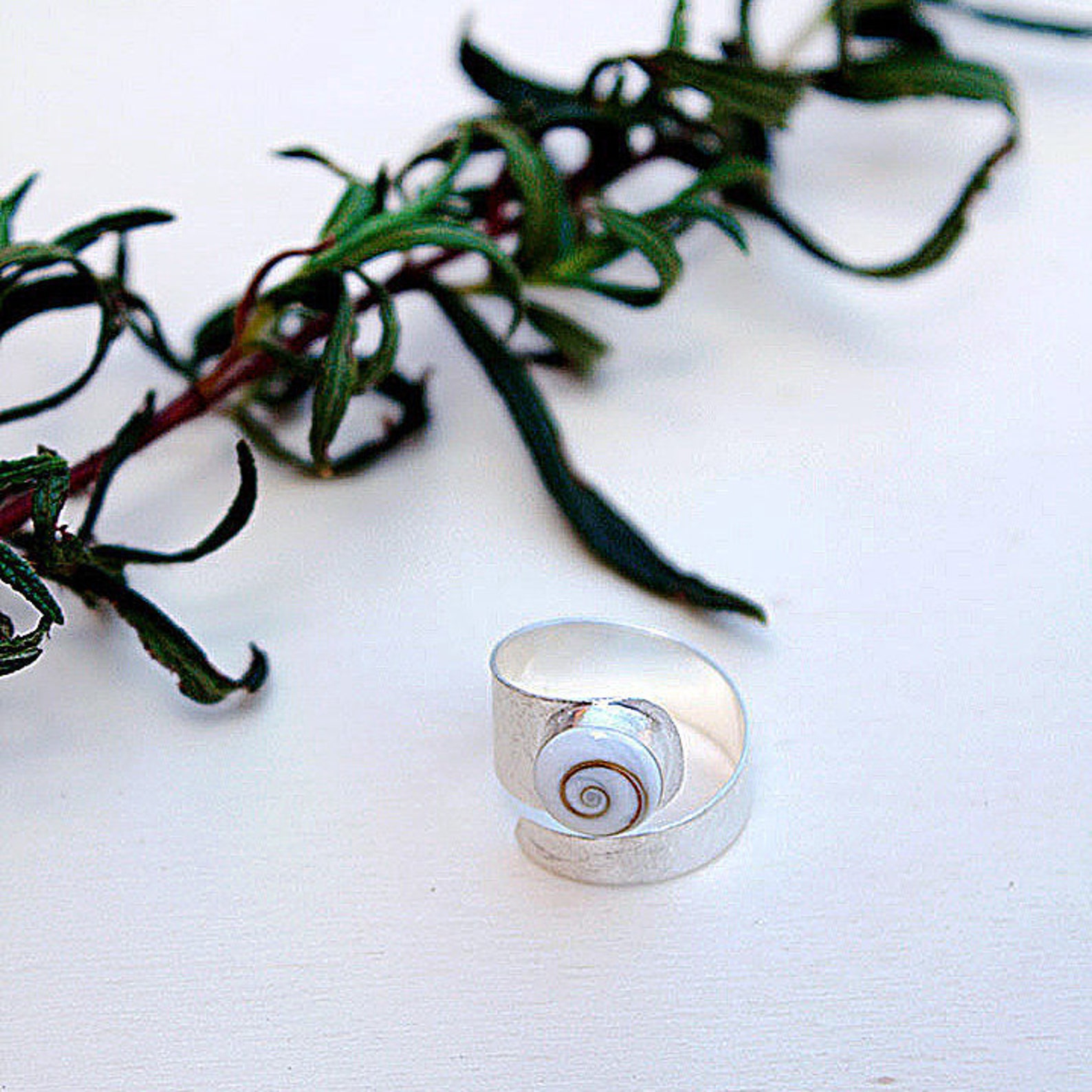 Shiva Eye Ring, Occhio Di Santa Lucia, Seashell Ring, Shiva Ring ...