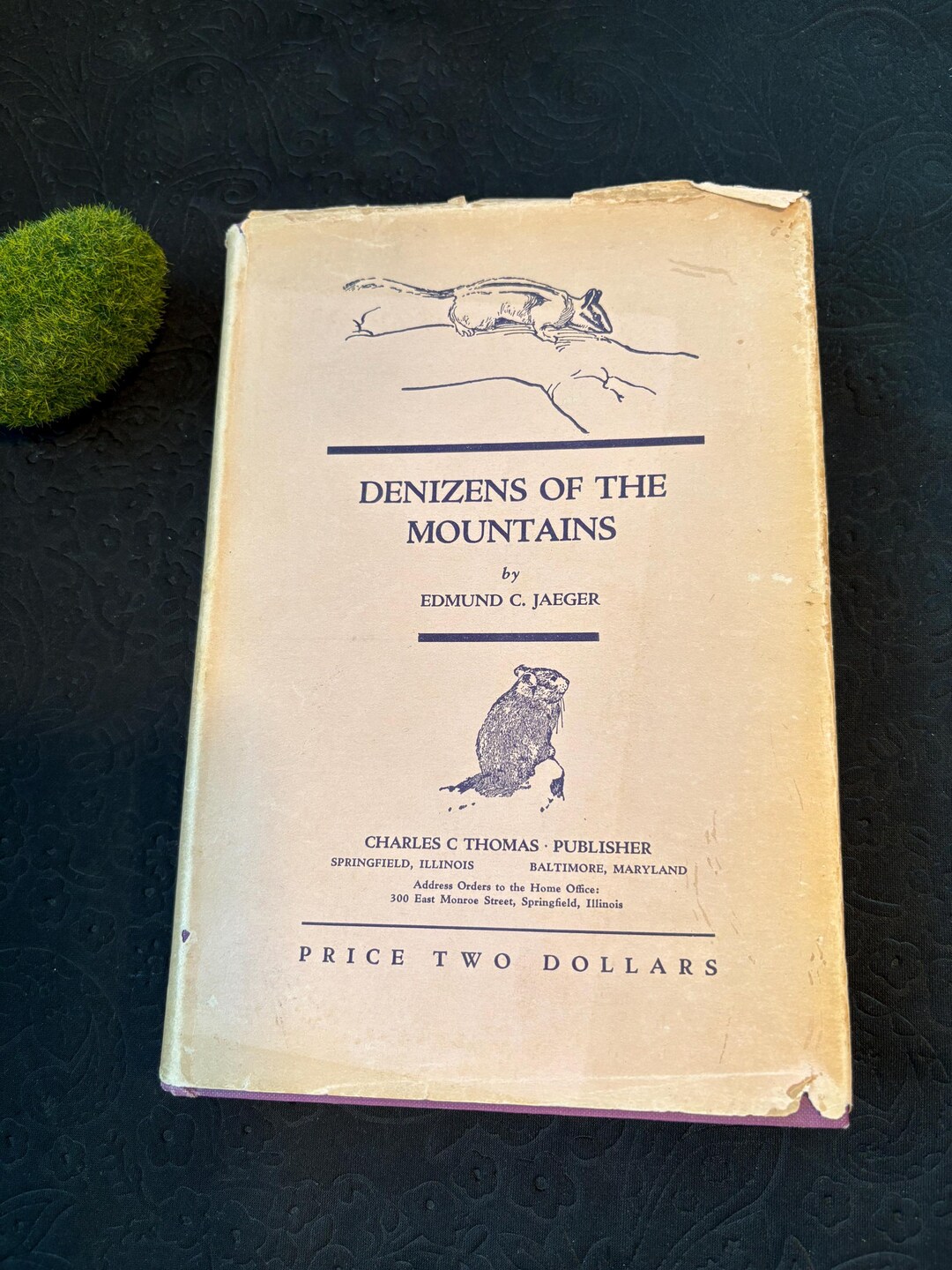 Antique Nature Book: Denizens of the Mountains, 1929 Edition - Etsy