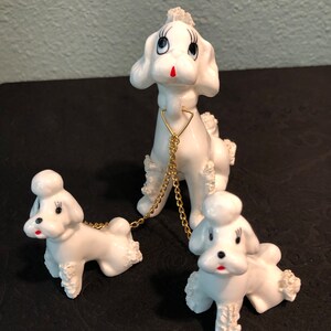 Vintage 1950s Era White Poodles, Mother Poodle With Puppies Chained to ...