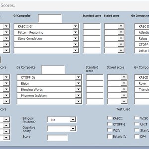 Educational Diagnostician Digital FIE Writing Template ** UPDATED - Etsy