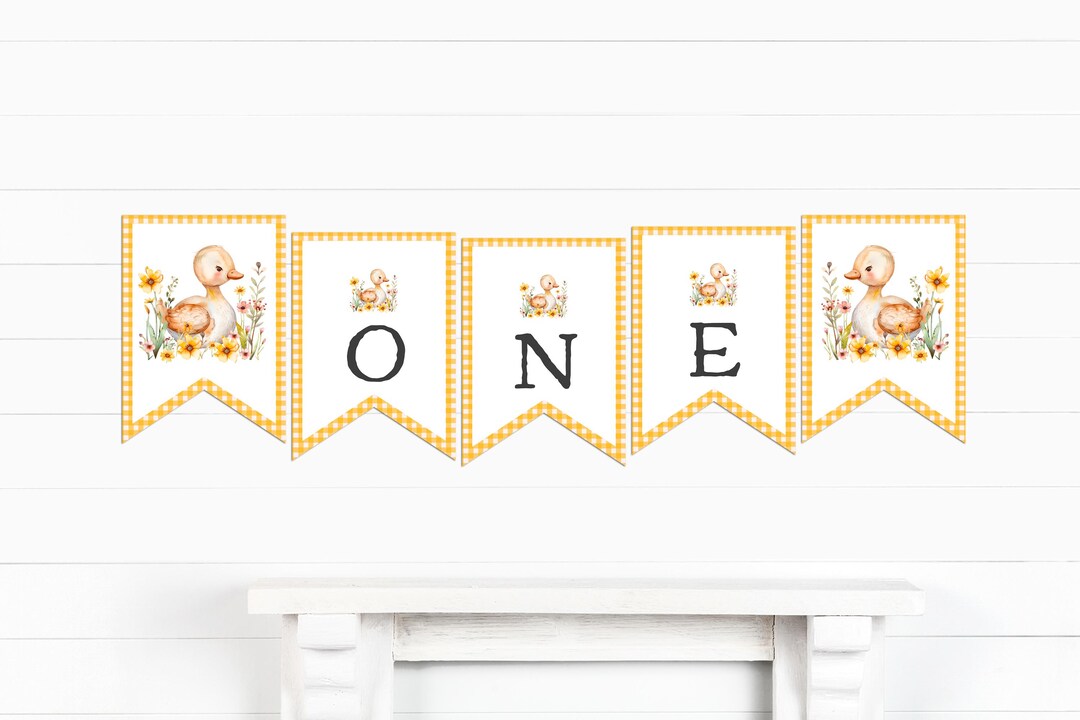 Silly Goose Banner, Editable Digital One Banner, Our Little Goose High ...