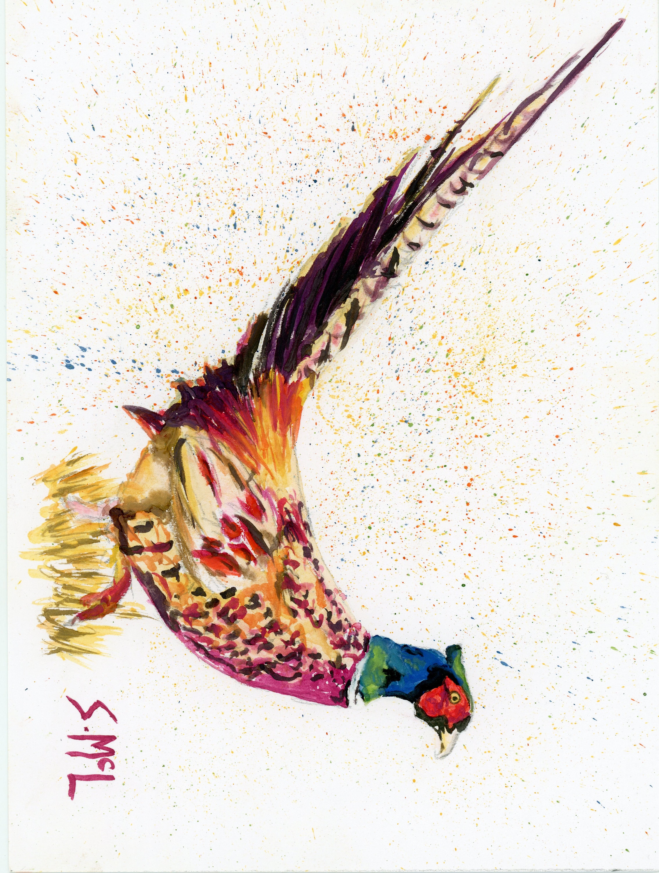 Watercolour Pheasant Painting. Original. Home Decor. Pheasant - Etsy