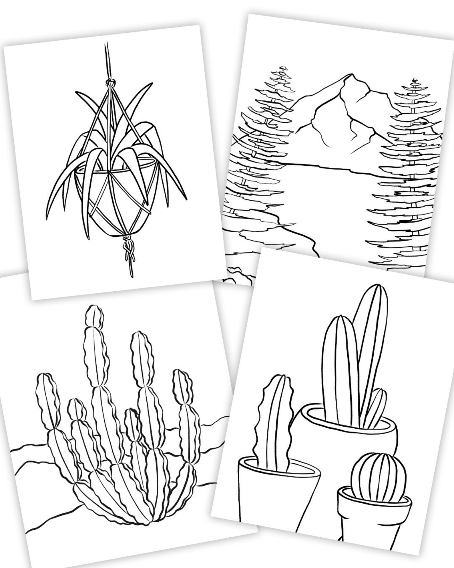 15 Coloring Pages | Plants and Landscapes | Collection No. 01 | Print ...