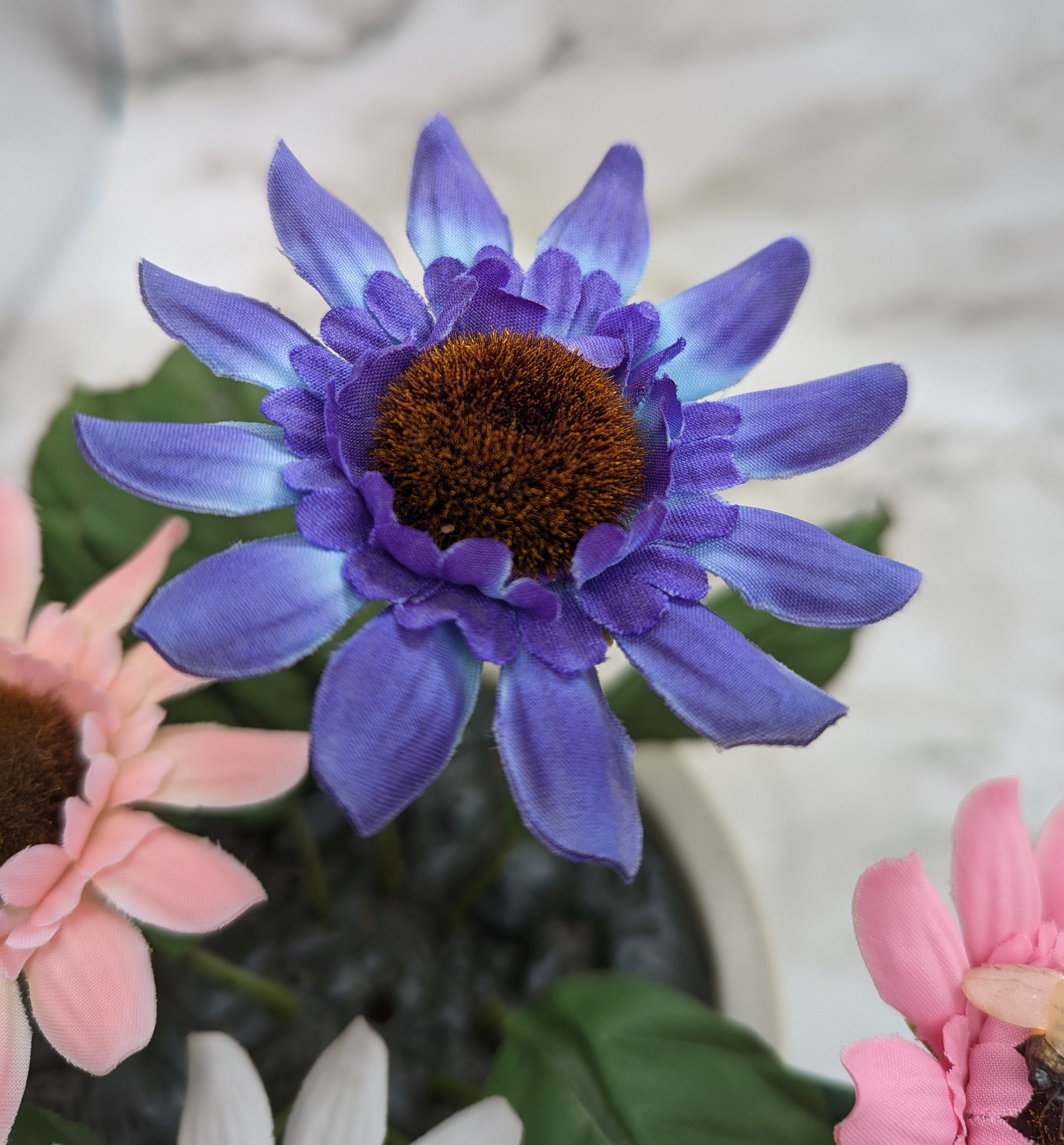 Animated Dancing Flowers