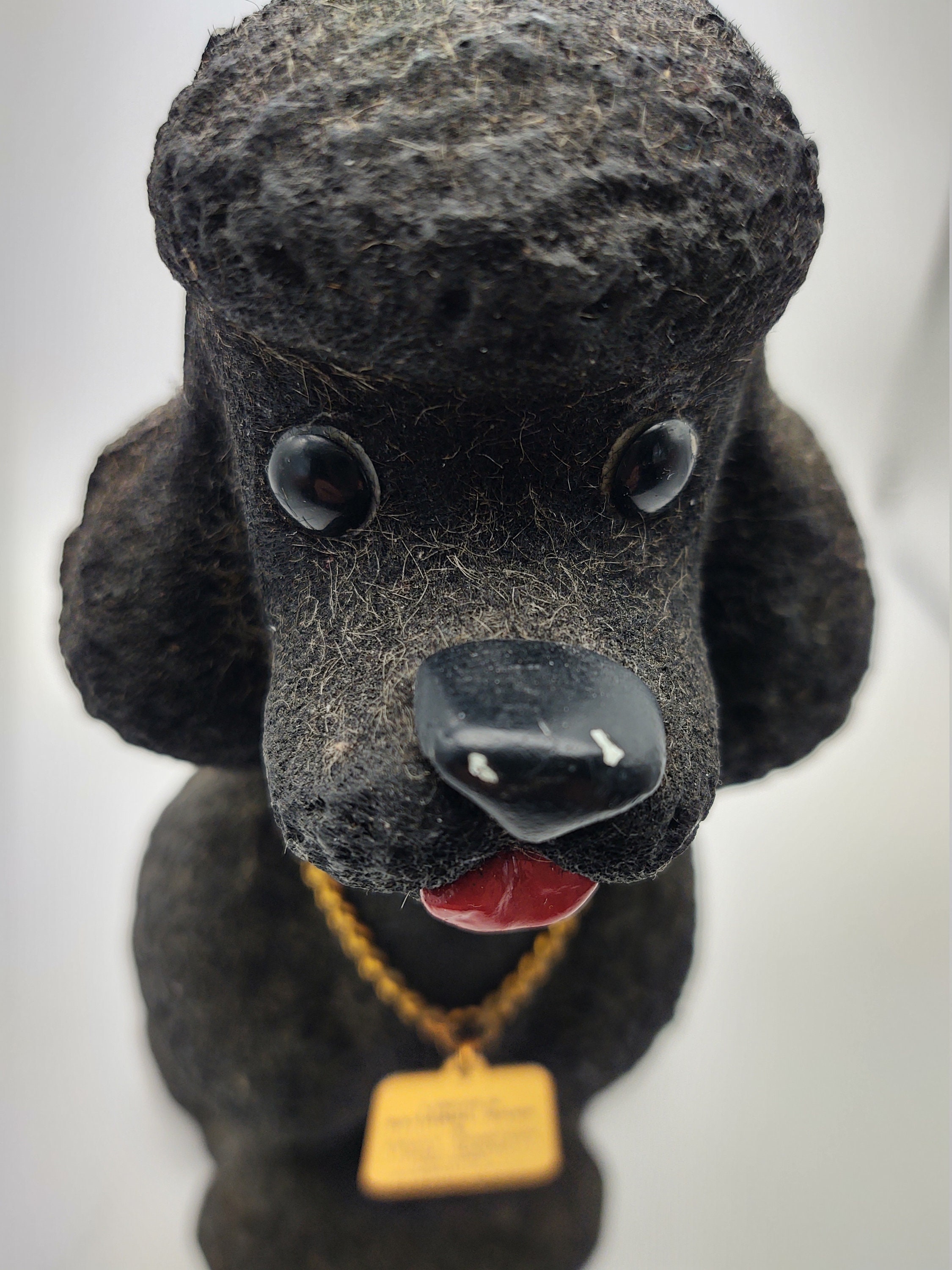 Vintage Flocked Black Poodle Coin Bank Lincoln National Bank - Etsy