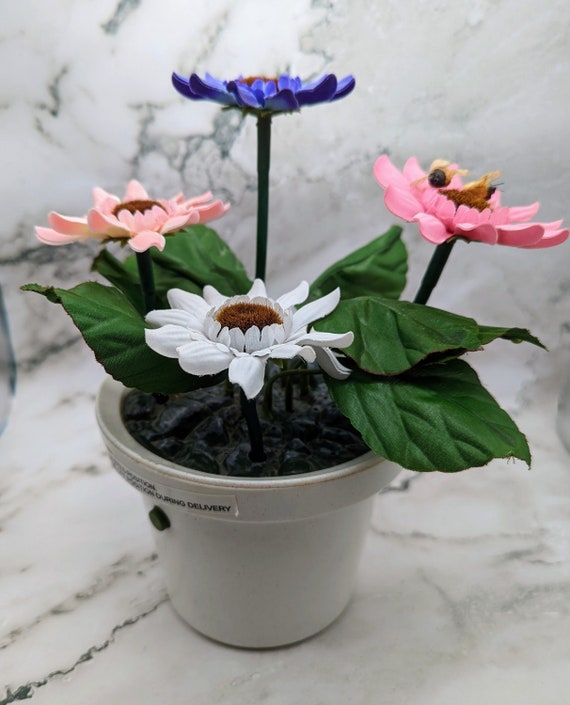 Animated Dancing Flowers