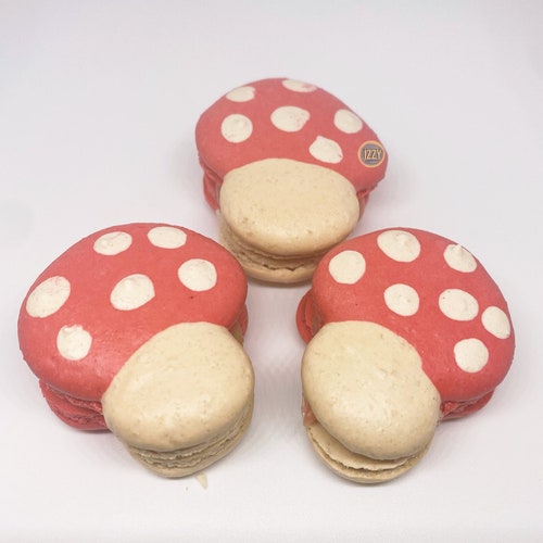 Moon Phases French Macarons 6 12 or 24 Choose Flavors - Etsy