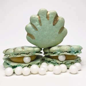 Seashell Macarons 15 or 30 Choose Your Flavors Edible - Etsy