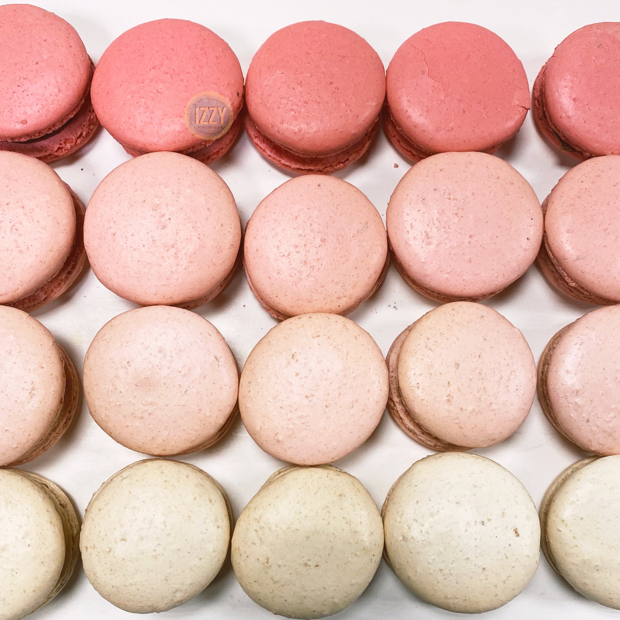 Pink French Macarons Ombre White to Pink Fading Macarons - Etsy