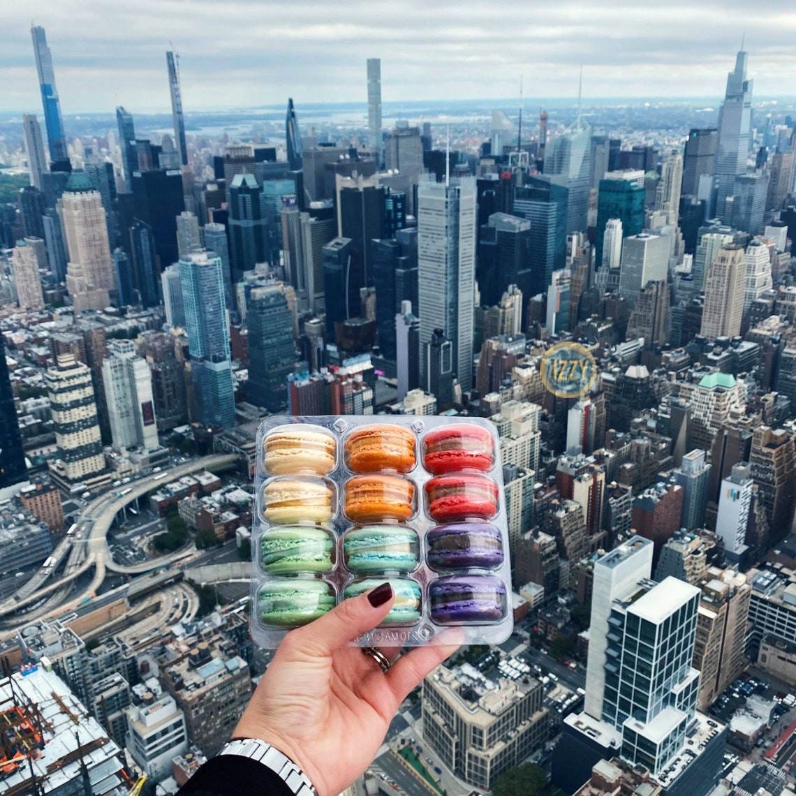 Izzy French Macarons surprise Me Flavors Assorted Standard - Etsy
