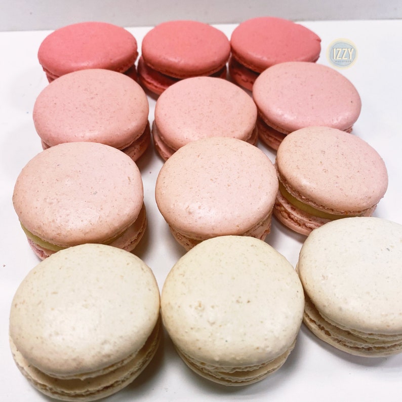 Pink French Macarons Ombre White to Pink Fading Macarons - Etsy