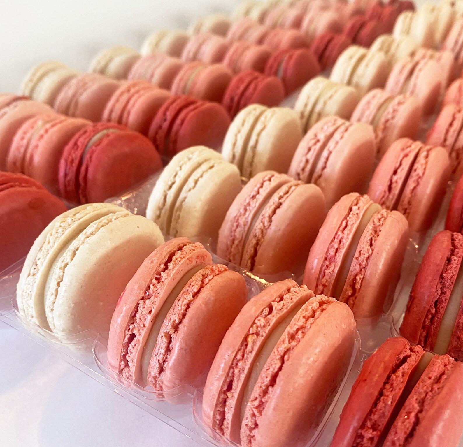 Pink French Macarons Ombre White to Pink Fading Macarons - Etsy