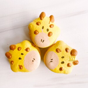 Zoo Animals French Macarons 12 or 24 - Choose Your Flavors - Elephant ...