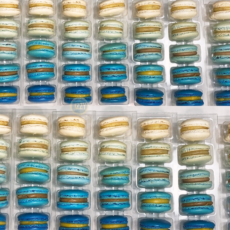 Blue French Macarons White to Blue/fading Macarons Pack - Etsy