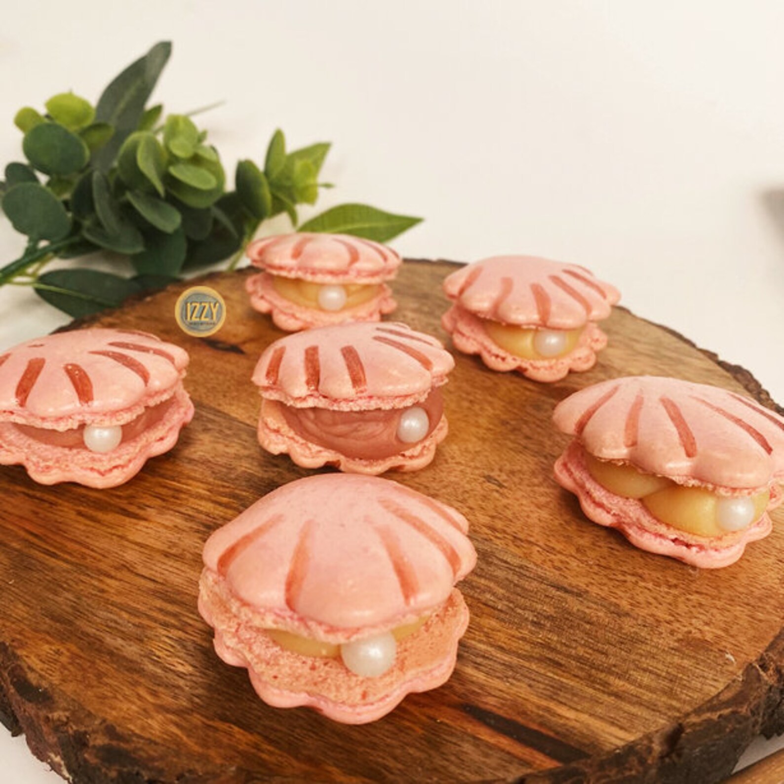 Seashell Macarons 15 or 30 Choose Your Flavors Edible - Etsy