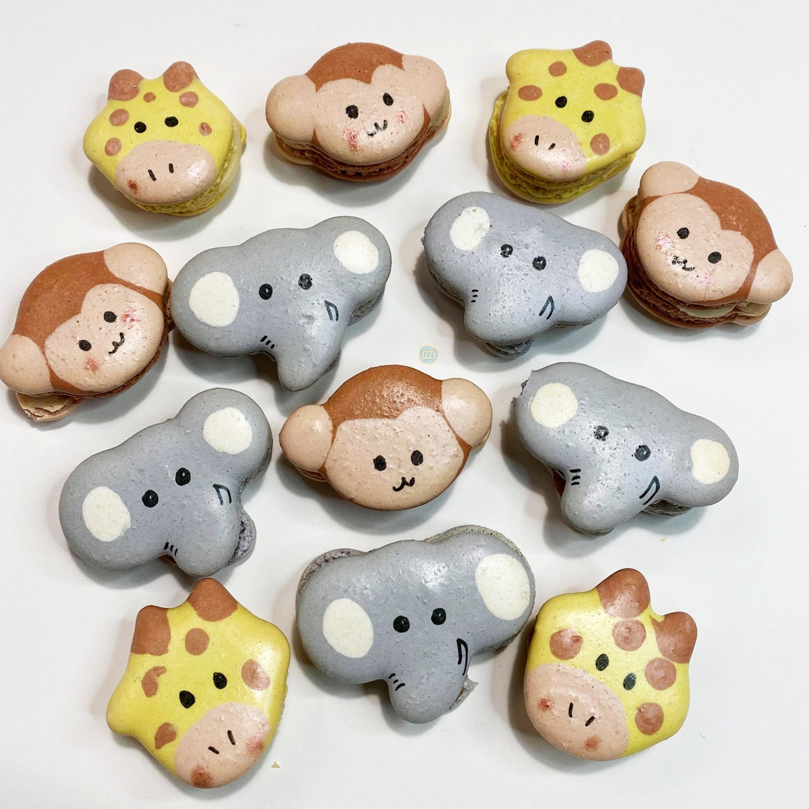 Zoo Animals French Macarons 12 or 24 Choose Your Flavors - Etsy