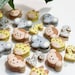 Zoo Animals French Macarons 12 or 24 Choose Your Flavors Elephant ...