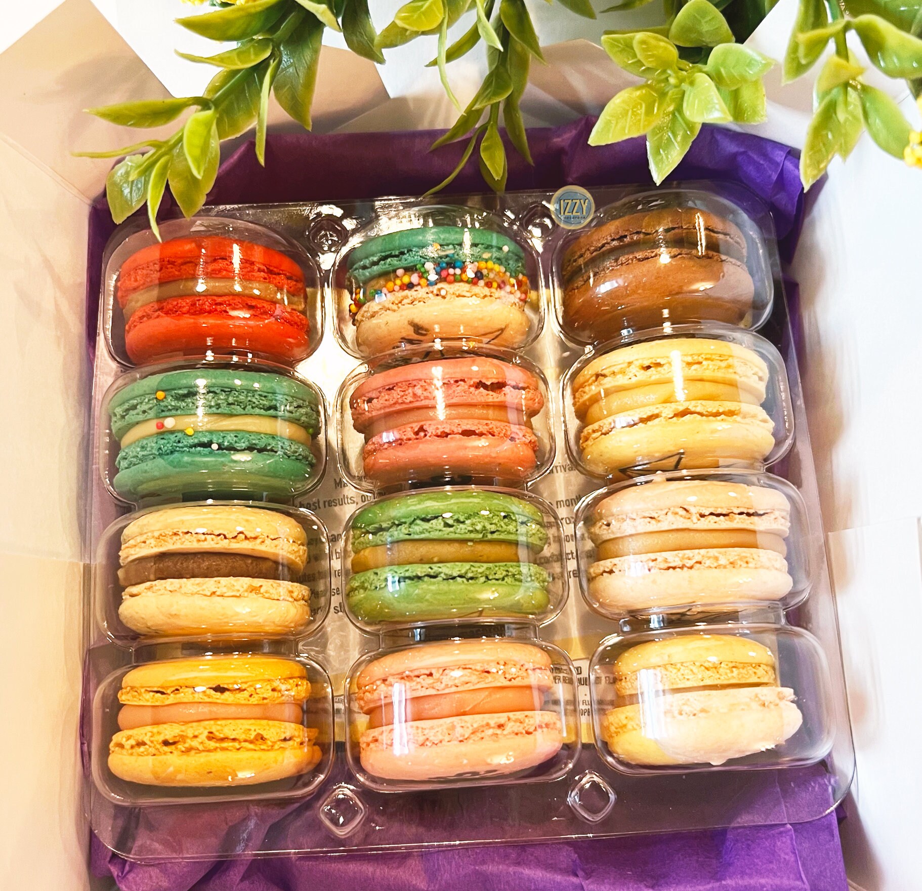 Izzy French Macarons surprise Me Flavors Assorted Standard - Etsy