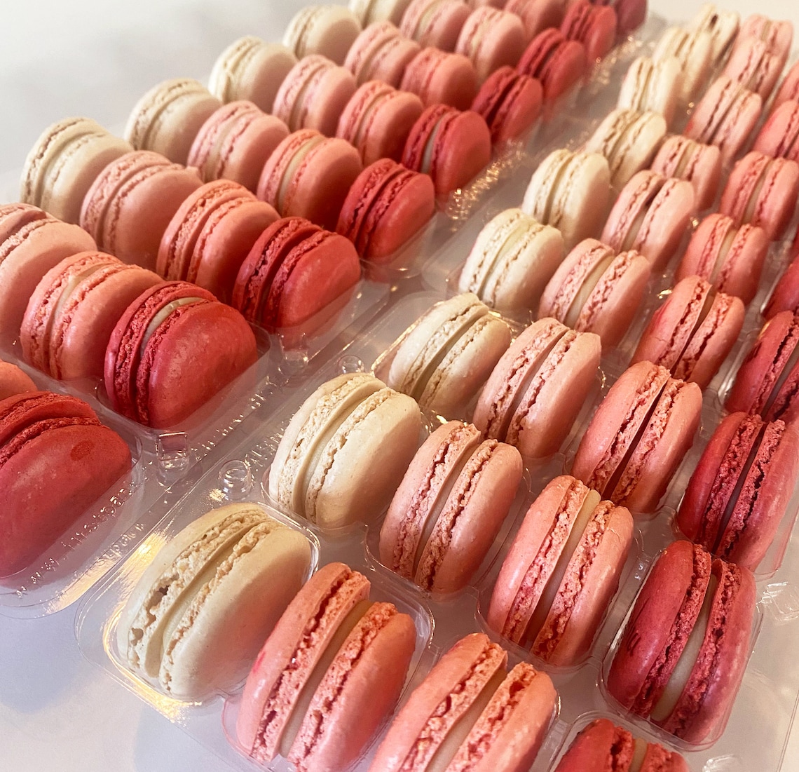 Pink French Macarons Ombre White to Pink Fading Macarons - Etsy