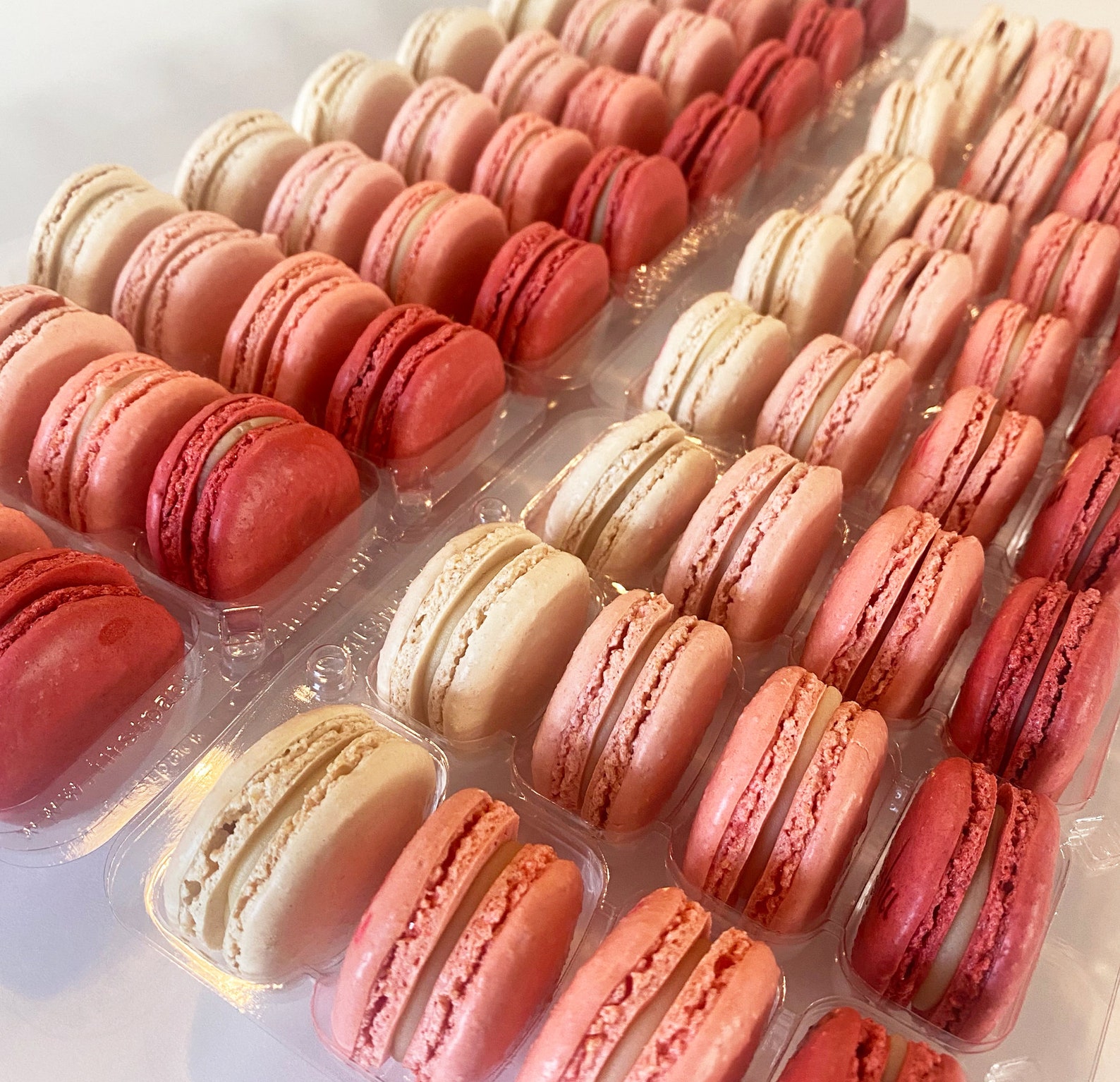Pink French Macarons Ombre White to Pink Fading Macarons - Etsy