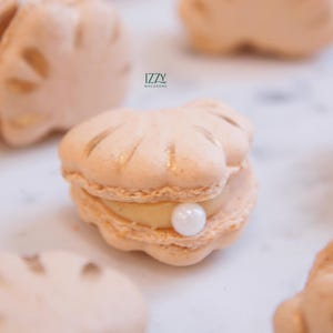 White/ Cream Seashell Macarons 15 or 30 - Choose Your Flavors - Edible ...