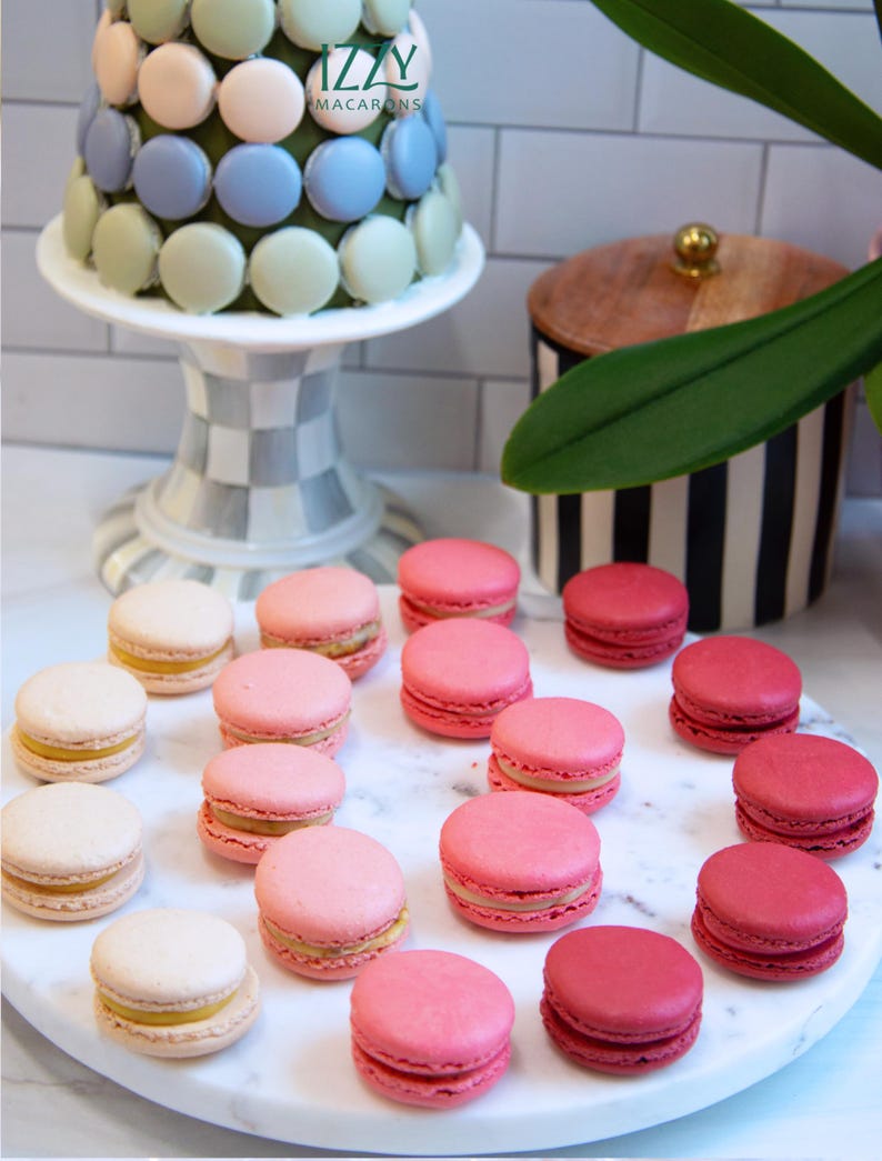 Pink French Macarons Ombre - White to Pink Fading Macarons Pack - Baby ...