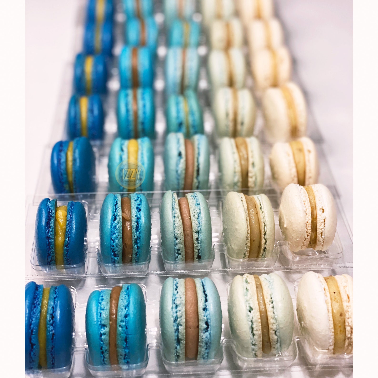 Blue French Macarons White to Blue/fading Macarons Pack - Etsy