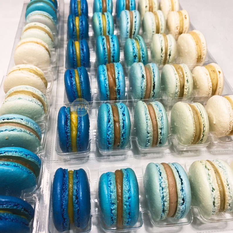 Blue French Macarons White to Blue/fading Macarons Pack - Etsy