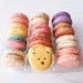 Izzy French Macarons Surprise Me Flavors Assorted Standard Packaging ...