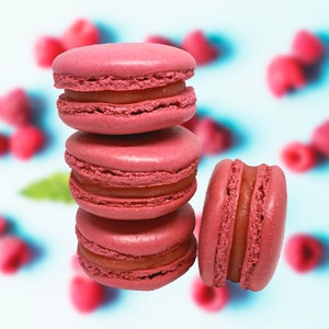 French Raspberry Macarons - 6.12 or 24 - French Raspberry Flavor ...