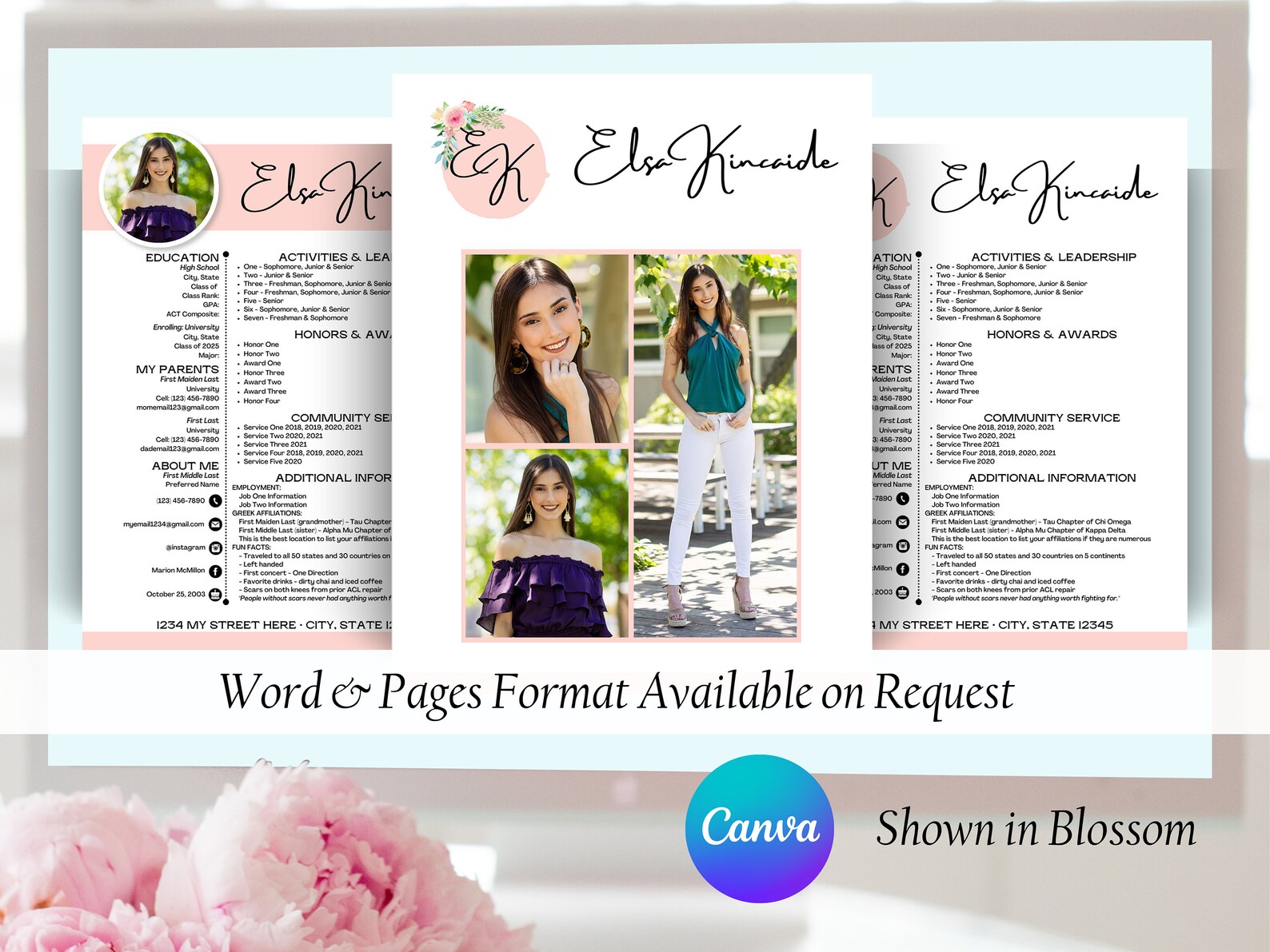 Elsa Sorority Resume Cover & Photo Collage CANVA Templates - Etsy