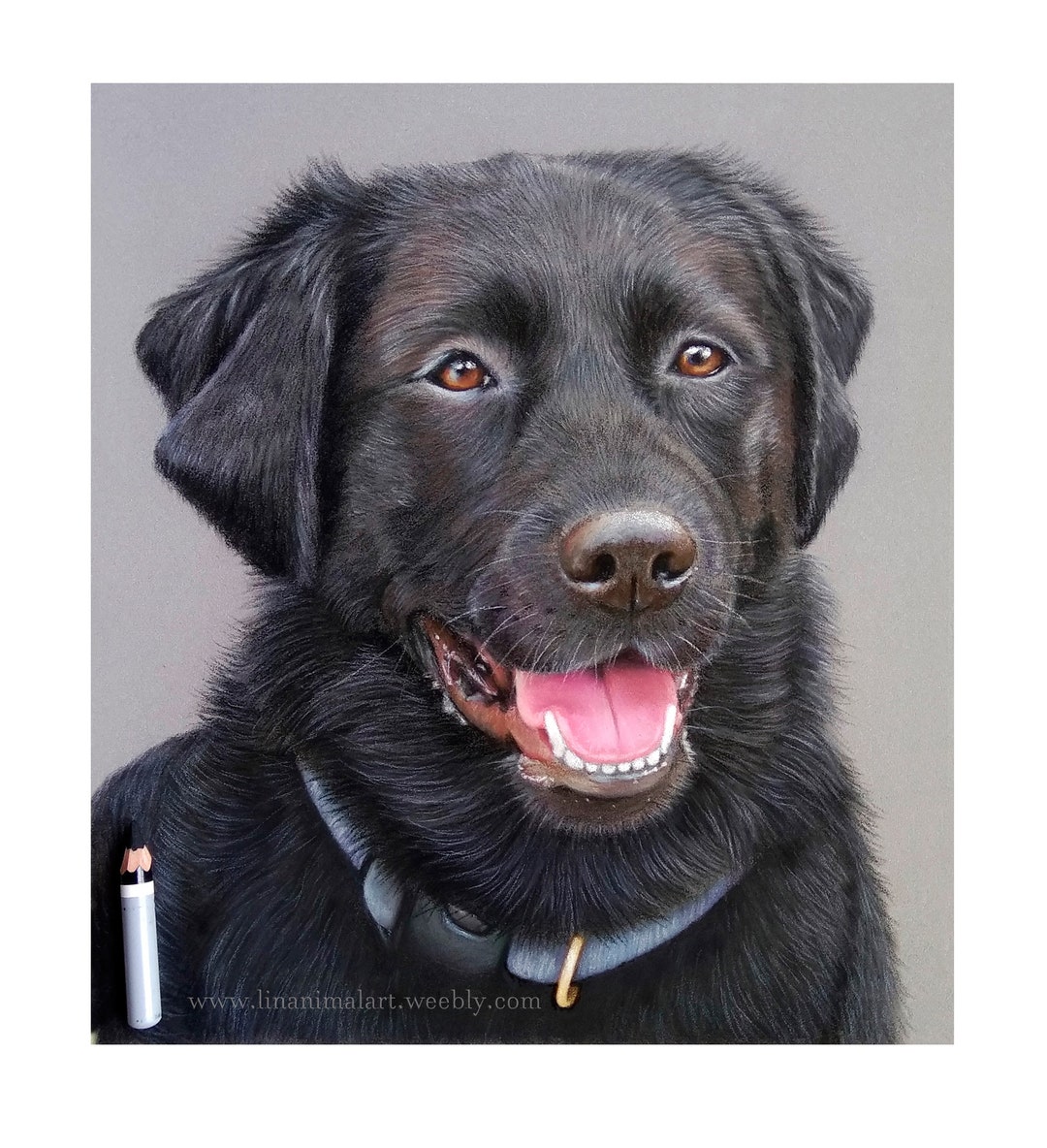 Custom Pet Portrait: Hand-drawn Pastel Dog Art - Etsy