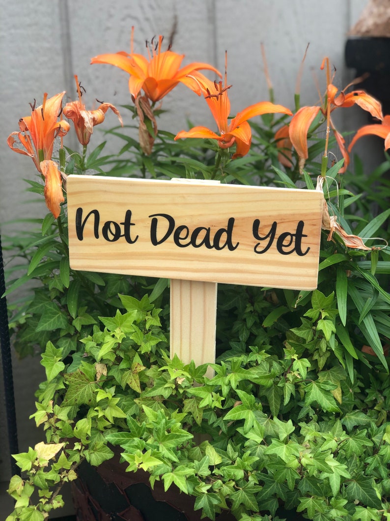 Garden Markers Custom Garden Stakes Funny Garden Gifts Zen - Etsy