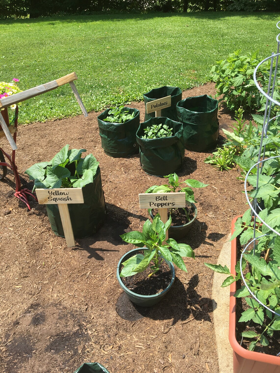Vegetable Garden Stakes Custom Garden Markers Zen Garden - Etsy