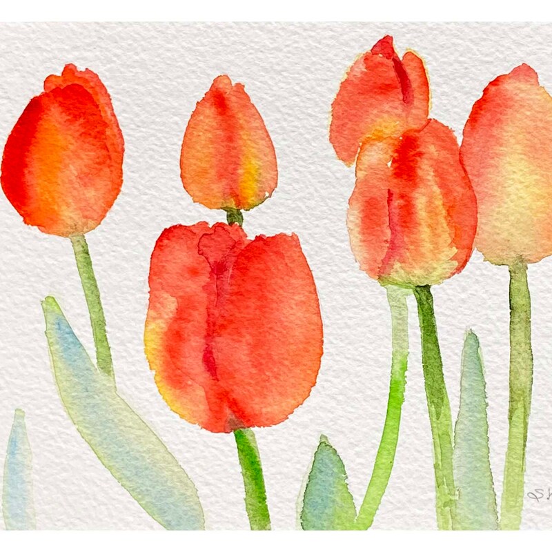 Orange Tulips - Etsy