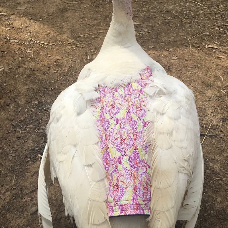 Riding Coat Xl - Etsy