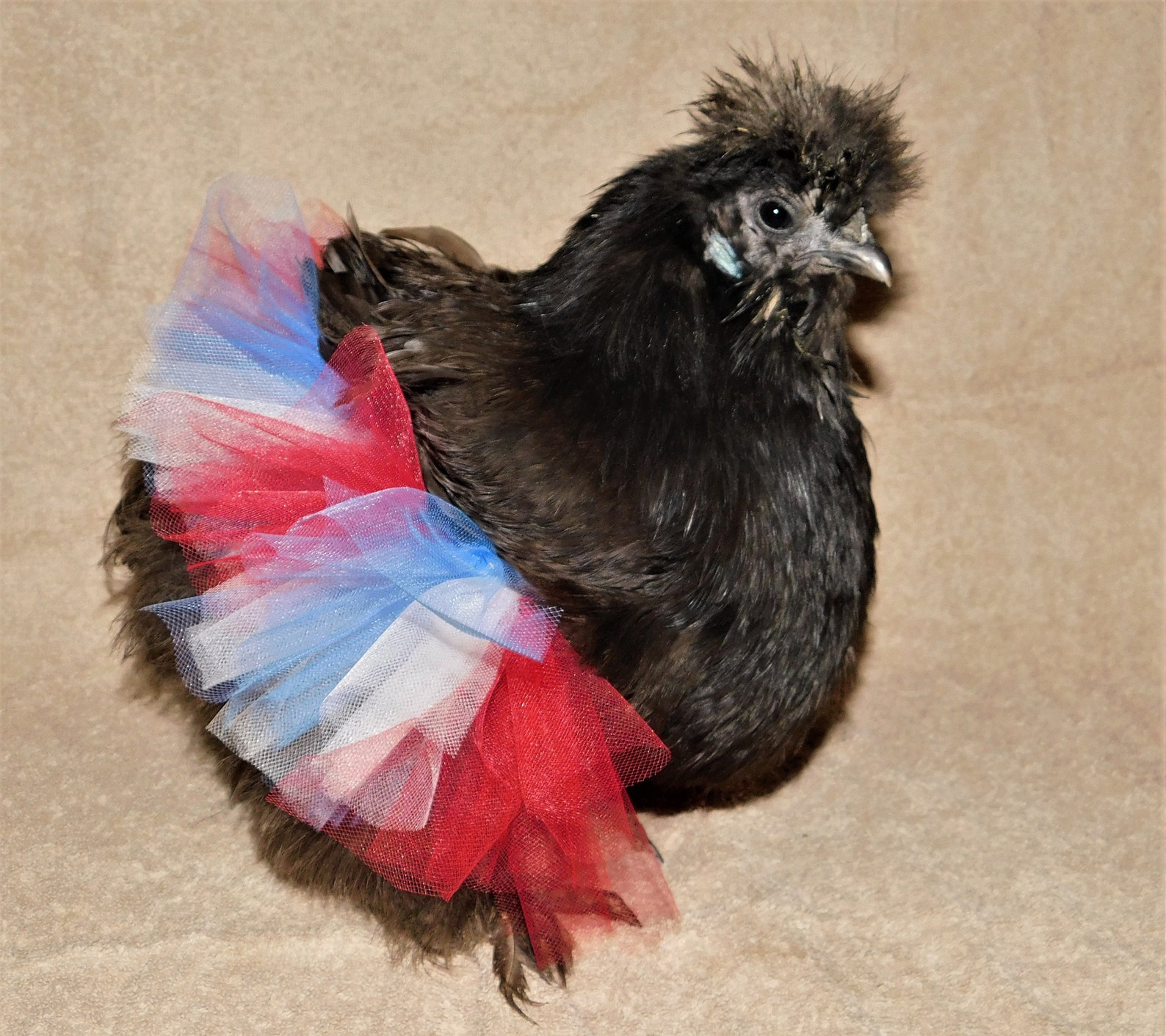 Patriotic Chicken Tutu - Etsy