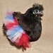 Patriotic Chicken Tutu - Etsy