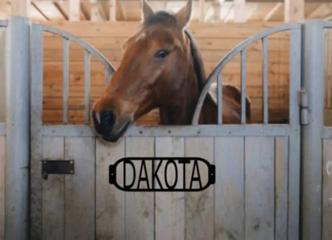 Custom Horse Stall Sign, Stall Door, Barn Decor, Equestrian Gifts ...