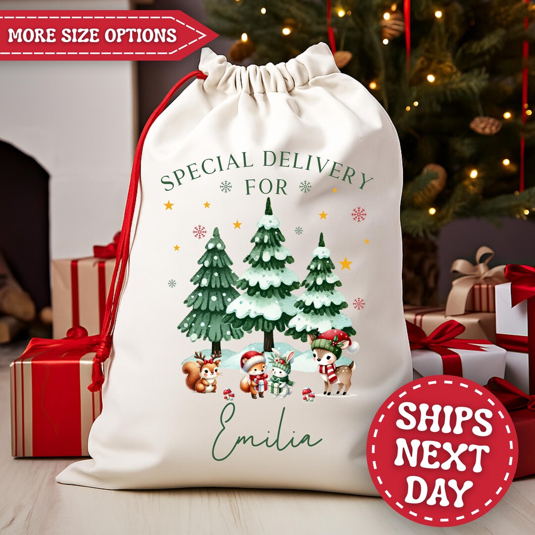 Personalized Santa Bag Special Delivery Santa Bag With Name Custom ...