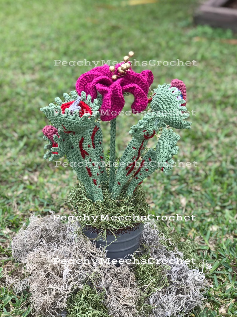 PATTERN. Venus Fly Trap Crochet Pattern. Crochet Carnivorous - Etsy UK