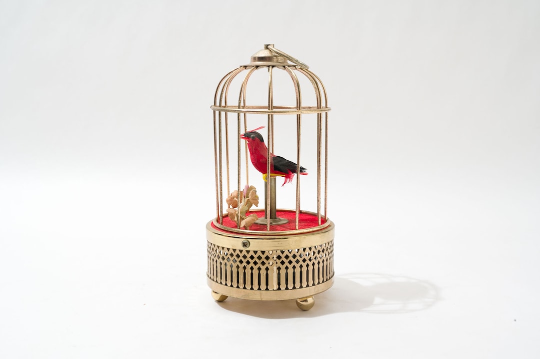Vintage Bird Cage Music Box, Plays Music, Bird Moves, Japan - Etsy
