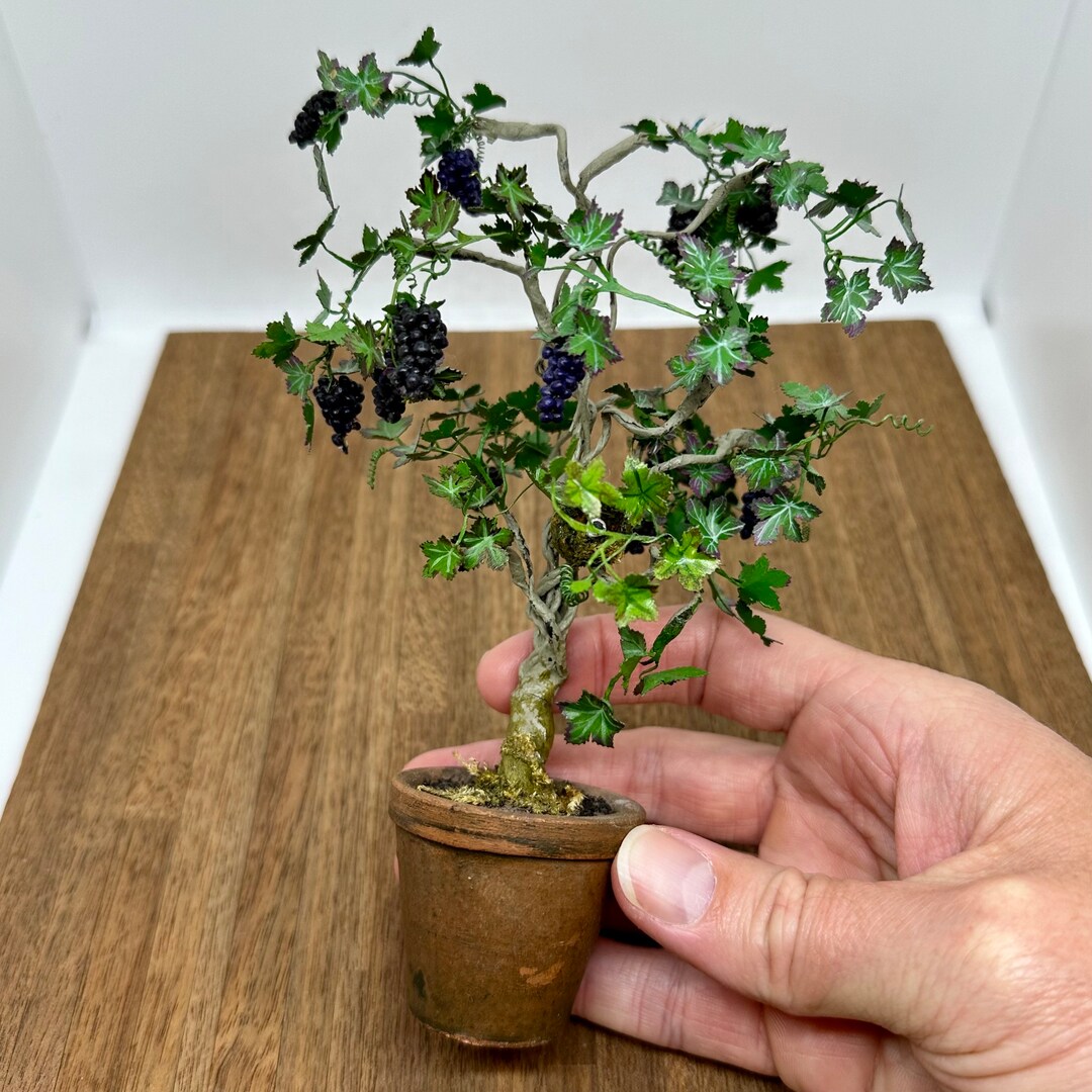 Miniature Handmade Grape Tree in Clive Brooker Pot, 1/12 Scale - Etsy