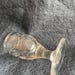 Georgian Dimple Glass - Etsy