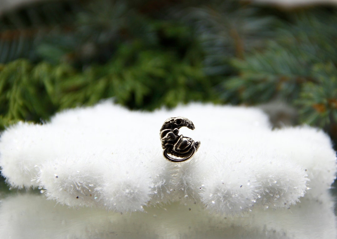 Silver Mouse Under a Blanket Sleeping on the Moon Bead, Sleeping Mouse ...
