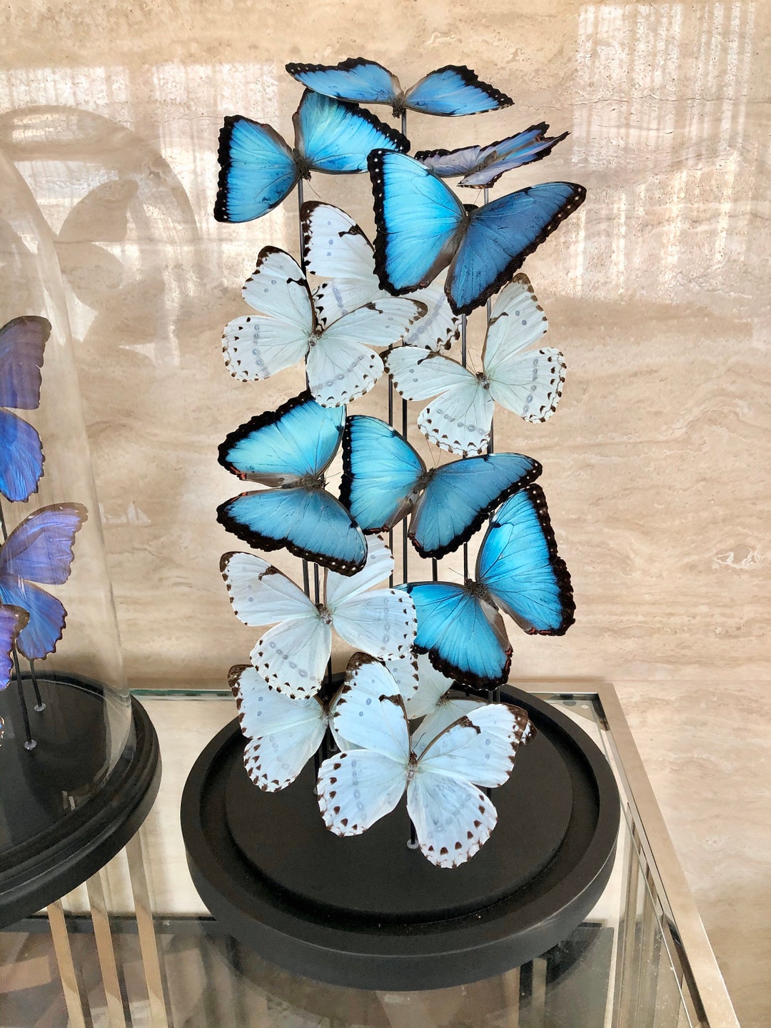 Butterfly GLASS DOME Blue/white - Etsy