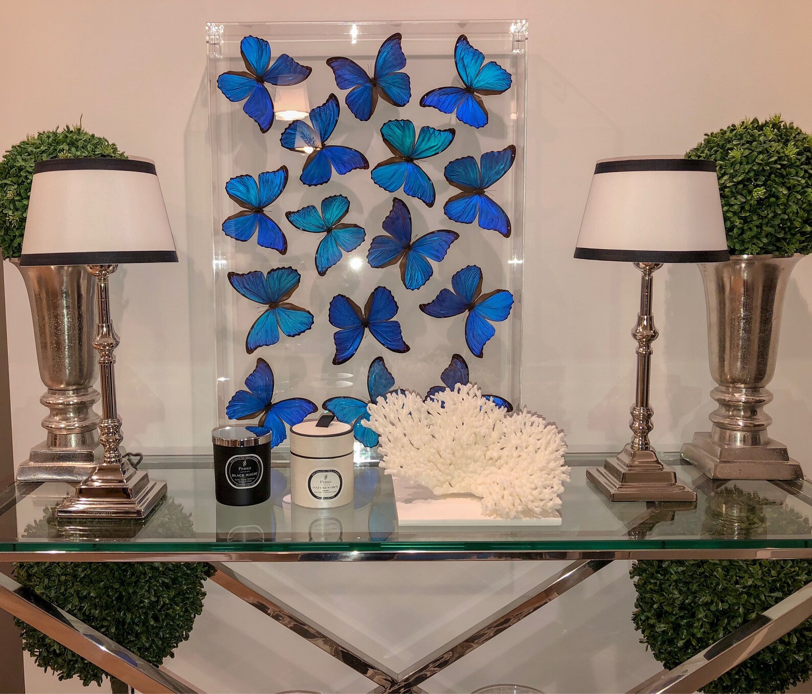 Butterfly Frame - Etsy