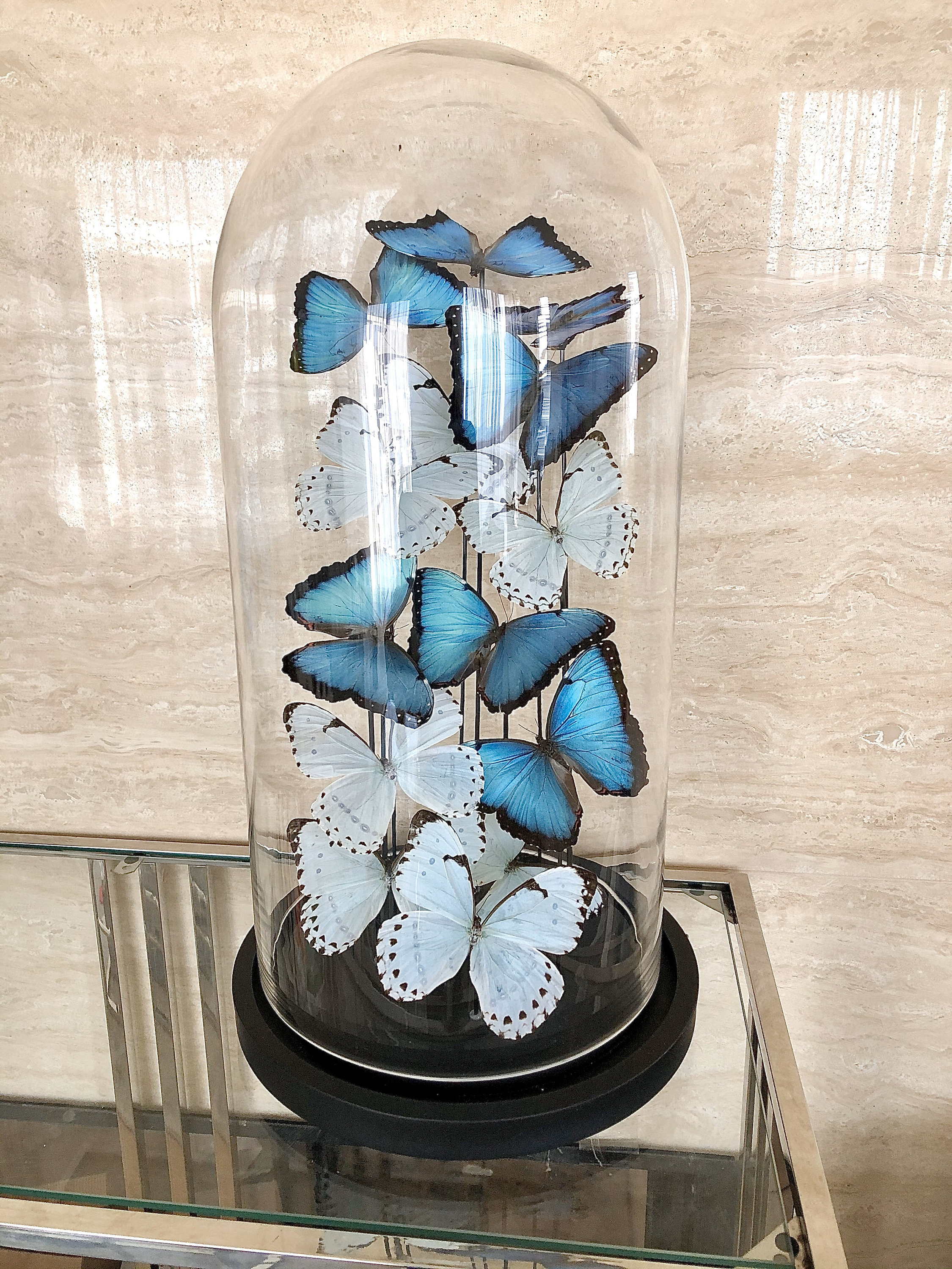 Butterfly GLASS DOME Blue/white - Etsy