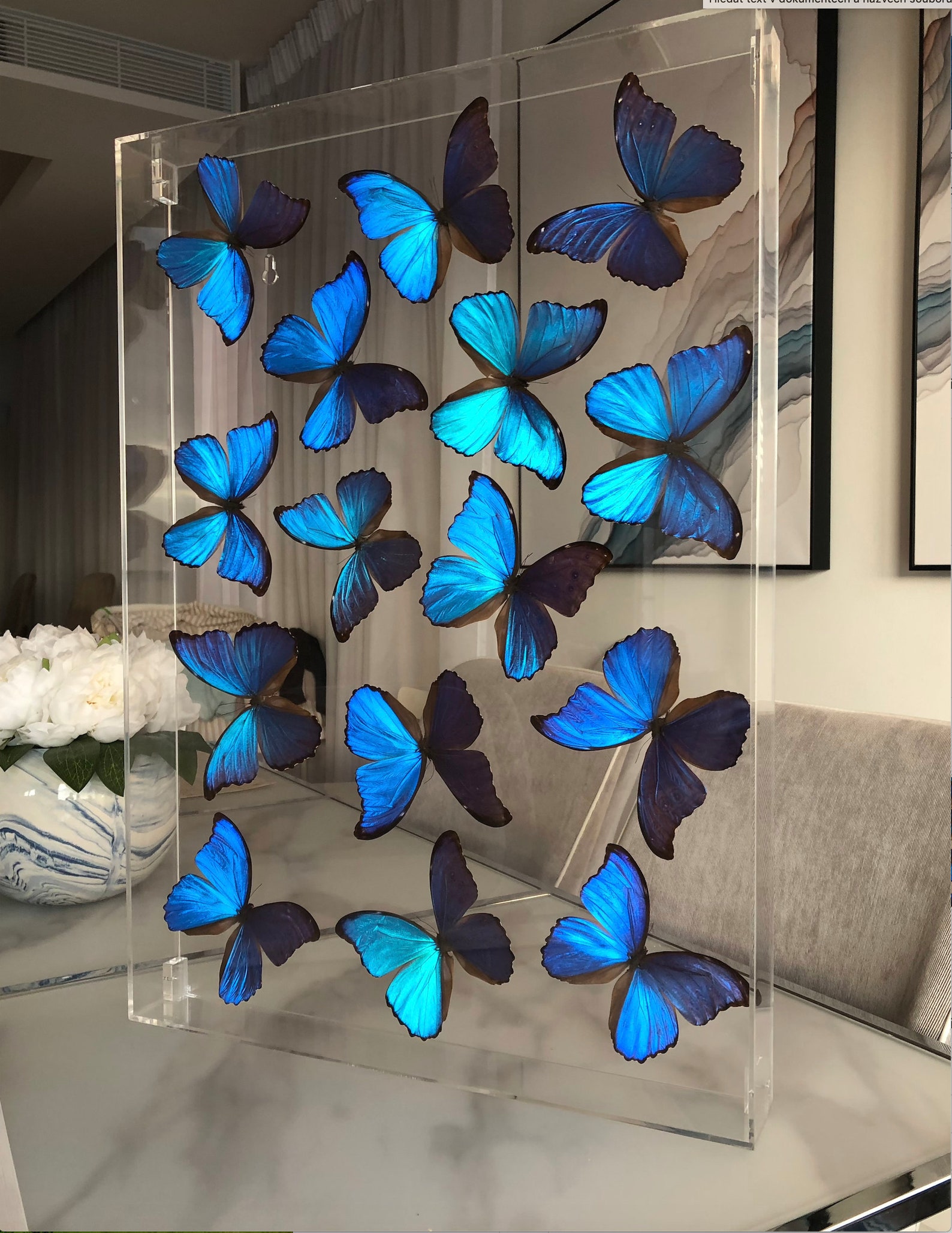 Butterfly Frame - Etsy