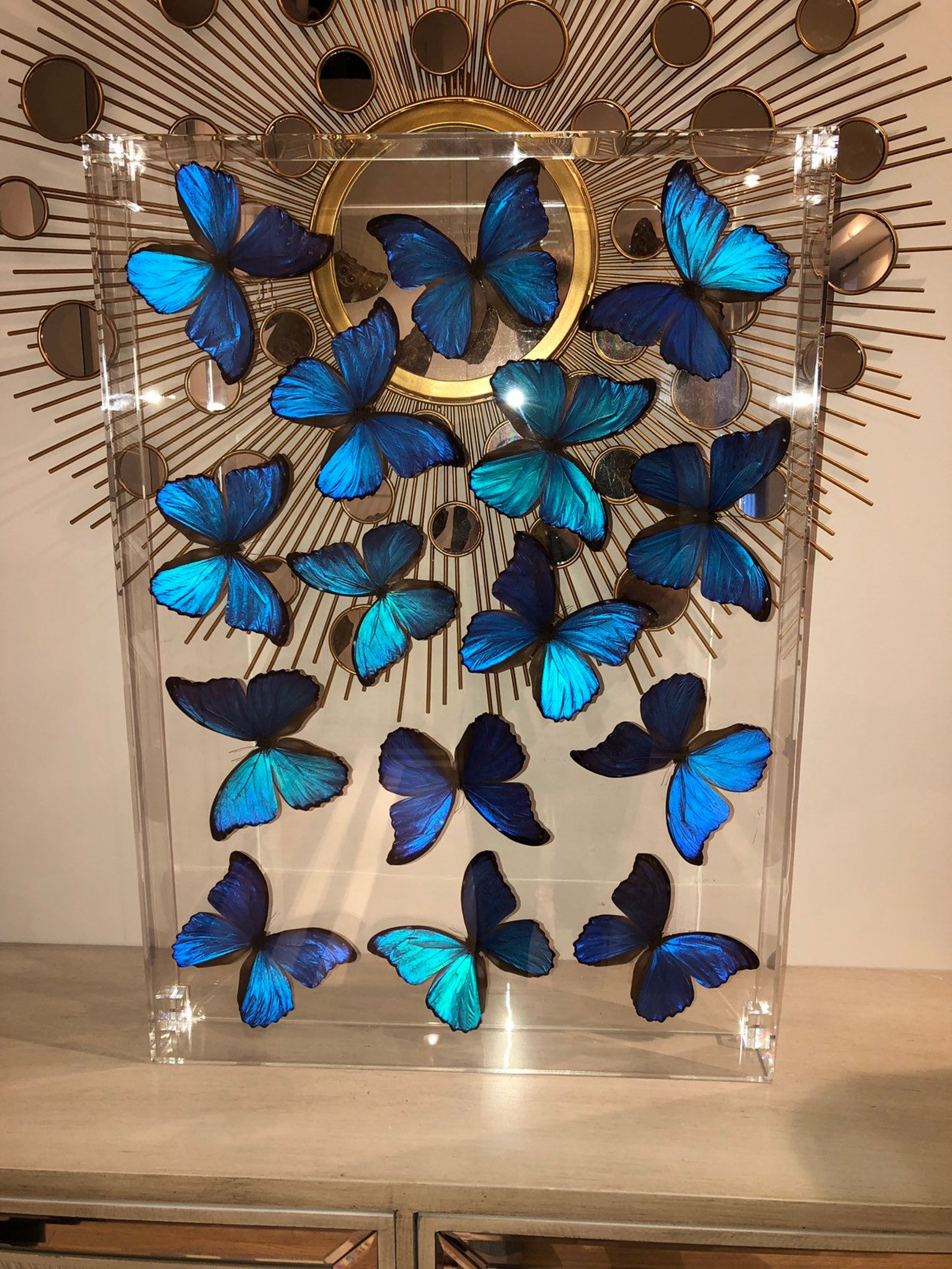 Butterfly Frame - Etsy